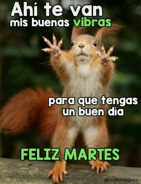 Feliz Martes Chistoso