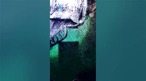 할리데이비슨 로글 거품샤워 업그레이드 스팀세차 007클린오토바이출장세차 Youtube