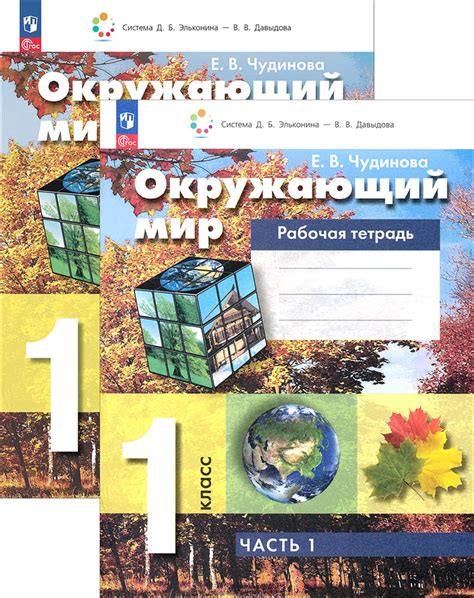Окружающий мир 1 класс Рабочая тетрадь В 2 х частях ФГОС Чудинова Елена Васильевна купить