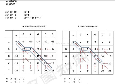 动态编程之序列比对：needleman Wunsch 算法和smith Waterman算法mtoironman的博客 Csdn博客