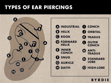 Your Ultimate Guide To Types Of Ear Piercings What To Know About 20