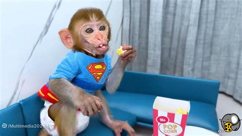 ویدئو کارتونی بچه میمون بازیگوش بازی با مورچه ها بامزه فیلو