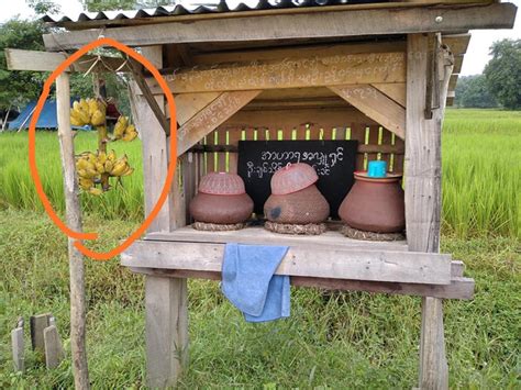 လမ်းသွားလမ်းလာတွေအတွက် ရေချမ်းစင်လေးနှင့်အတူဗိုက်ဆာရင်စားဖို့ ငှက်ပ