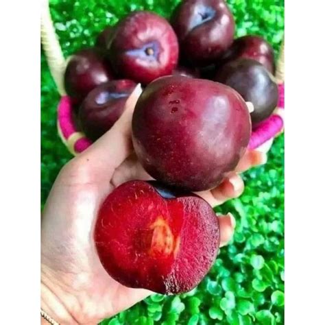 Khám Phá Hương Vị Và Công Dụng ẩm Thực Của Trái Mận đỏ Úc Trong Bữa ăn