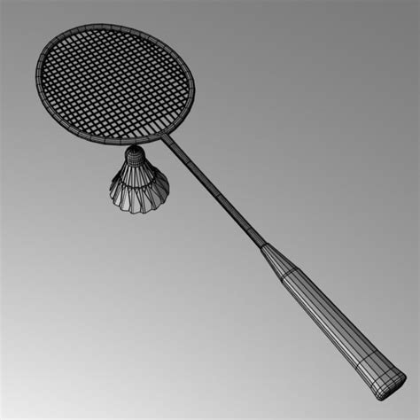 3d Badminton Racket