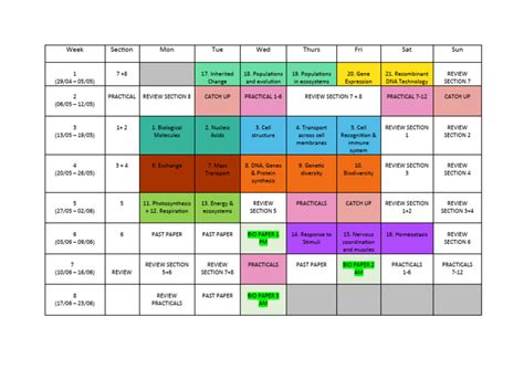 Biology A Level Revision Timetable Download Free Pdf Biology Cell Biology