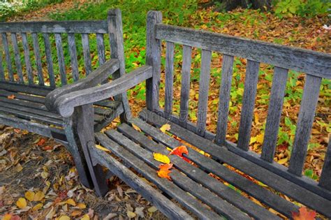 Скамейки в парке в осени стоковое изображение изображение насчитывающей желтый 34595489