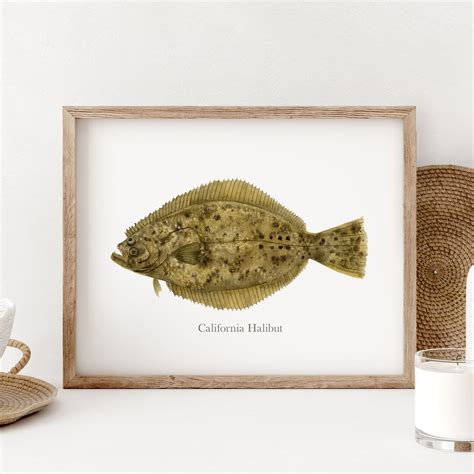 California Halibut Art Print Halibut Watercolor Realistic Fish