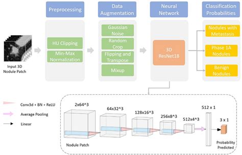 Overview Of The Deep Learning System Adopted In The Diagnosis Of Download Scientific Diagram