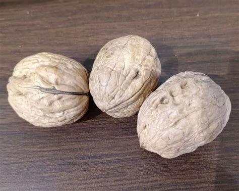 B Grade Organic Whole Walnut At ₹ 750 Kg In Ahmedabad Id 2851055917791