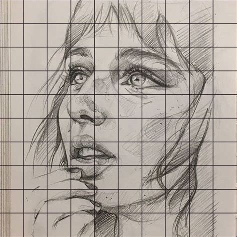 Dibujo Realista De Perfil Cuadrícula Arte Dibujo Realista Dibujos