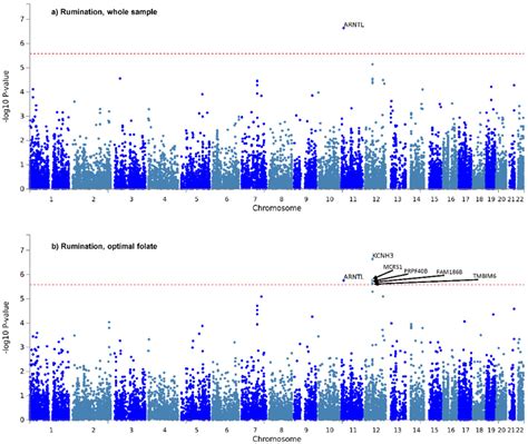 manhattan plots of gene based tests for rumination item in the whole