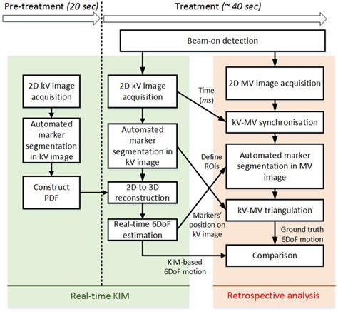 Workflow Of The 6 Dof Motion Accuracy And Precision Measurements