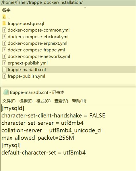 docker install does not work anymore from today due to error mariadb is