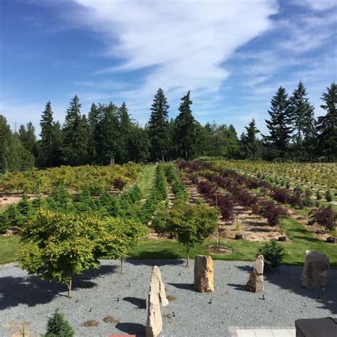 Areas We Serve NW Tree Nursery