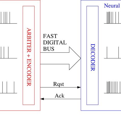 A Architecture Of A Single Layer Perceptron The Architecture