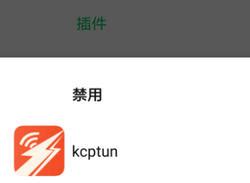 KCPTUN安卓客户端下载安装及使用教程 评测啦