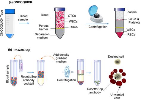 Centrifugation Techniques Of Ctcs Separation A Oncoquick Workflow Download Scientific