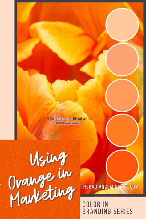 Orange In Marketing Using Color In Branding The Radiance Mindset Color Complementary Color
