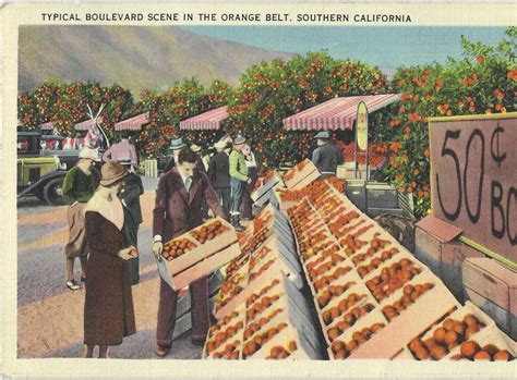 Where Have Southern Californias Orange Groves Gone Los Angeles Times