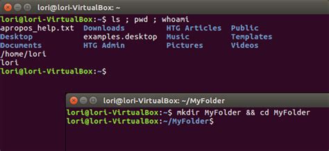 How To Run Two Or More Terminal Commands At Once In Linux