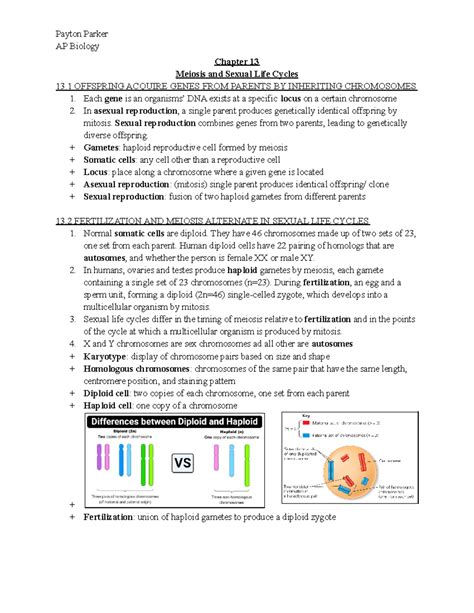 Ap Bio Unit 4 Notes Payton Parker Ap Biology Chapter 13 Meiosis And Sexual Life Cycles 13