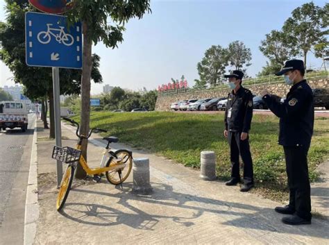 市城市管理监察大队：整治共享单车乱停放 营造文明安全出行环境部门动态台山市人民政府门户网站
