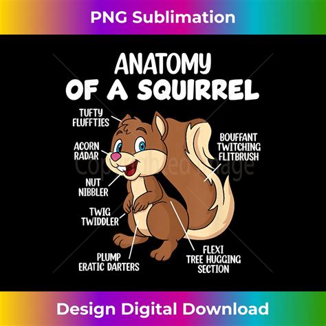 Anatomy Of A Squirrel Contemporary Png Sublimation Design Inspire