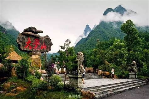 资溪 资溪白茶 资溪特产小吃 第3页 大山谷图库