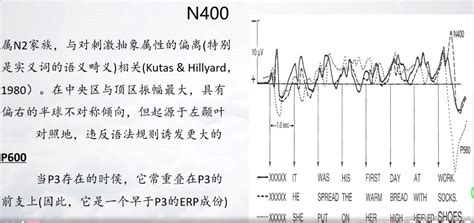 脑电信号处理与特征提取——1 脑电、诱发电位和事件相关电位（胡理） 脑电信号波提取 csdn博客