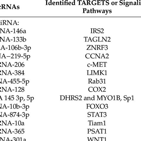 Regulatory Non Coding Rnas Ncrnas In Escc Progression Download Scientific Diagram