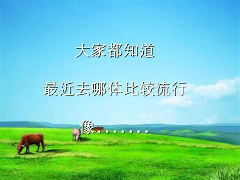都 去 哪 了 word文档在线阅读与下载 无忧文档