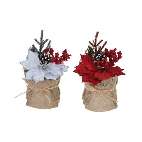 КОЛЕДНО ЦВЕТЕ В САКСИЯ на ТОП Цена 30370012355 — Aiko Xxxl ️