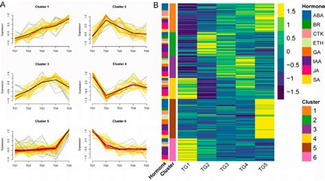 The Expression Patterns Of Hormone Associated Genes By Hierarchical