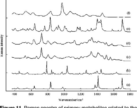 Figure 11 From Reference Database Of Raman Spectra Of Biological Molecules Semantic Scholar