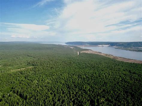 Охрана лесов Красноярского края от пожаров позволяет сократить выбросы парниковых газов