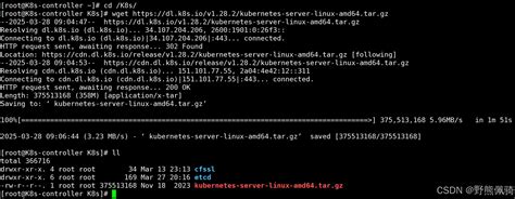 Centos7二进制安装包方式部署k8s集群之控制平面组件部署linux系统应用运维 Csdn专栏