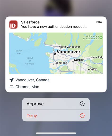 Ping Identity Support