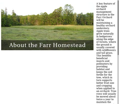 Html How To Set When Text Will Wrap Stack Overflow