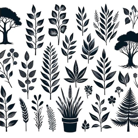 Premium Psd Foliage Leafes Illustrion