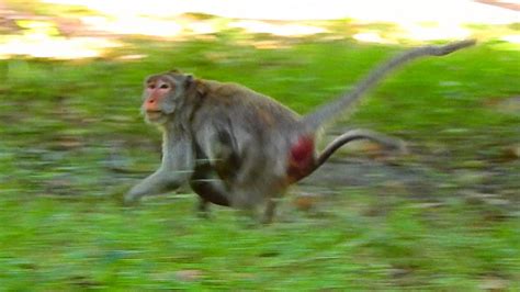 Omg Jane Horribl Escaping When She Can`t Get Peace From Other Youtube