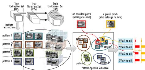 illustration of the pattern specific subspace learning scheme in this download scientific