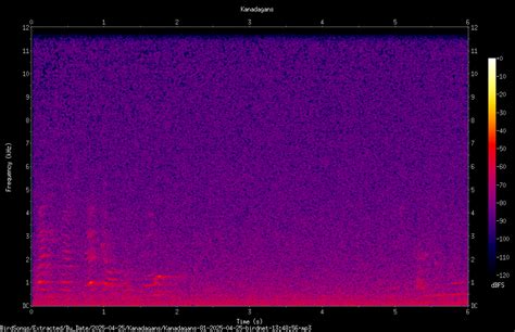 Birdnet Pi 247 Monitoring System Für Sing Vögel Climart
