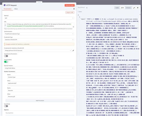 Downloading Files From Salesforce Questions N8n Community