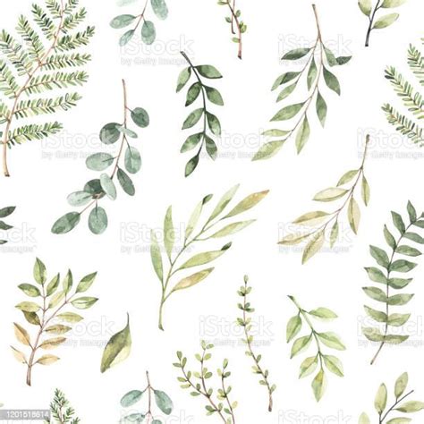 스프링 수채화 매끄러운 패턴 유칼립투스 가지 고사리와 잎 식물 배경 녹지 일러스트레이션 꽃 무늬 디자인 초대장 포장지 직물 직물에 적합 수채화에 대한 스톡 벡터 아트 및