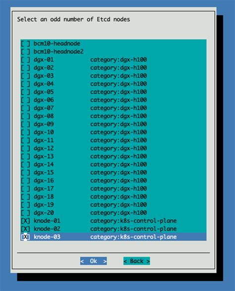 Deploy Kubernetes — Nvidia Dgx Basepod Deployment Guide Featuring Nvidia Dgx H200h100 Systems