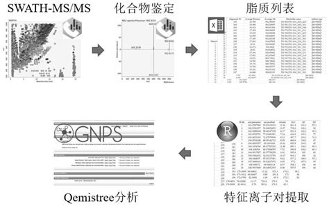 Dairy Product Anti Counterfeiting Traceability Omics Analysis Method Eureka Patsnap Develop