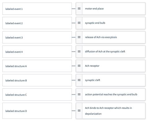 Solved Drag And Drop Options On The Right Hand Side And
