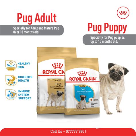 Royal Canin Sri Lanka 𝐓𝐡𝐞 𝐁𝐞𝐬𝐭 𝐃𝐨𝐠 𝐅𝐨𝐨𝐝 𝐢𝐧 𝐒𝐫𝐢 𝐋𝐚𝐧𝐤𝐚 𝐑𝐨𝐲𝐚𝐥 𝐂𝐚𝐧𝐢𝐧 𝐒𝐫𝐢 𝐋𝐚𝐧𝐤𝐚 𝐏𝐮𝐠 𝐏𝐮𝐩𝐩𝐲 𝐏𝐮𝐠