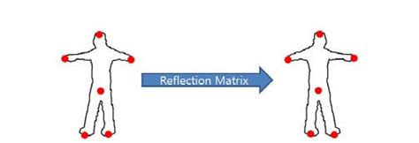 Result Of Reflection Matrix Download Scientific Diagram